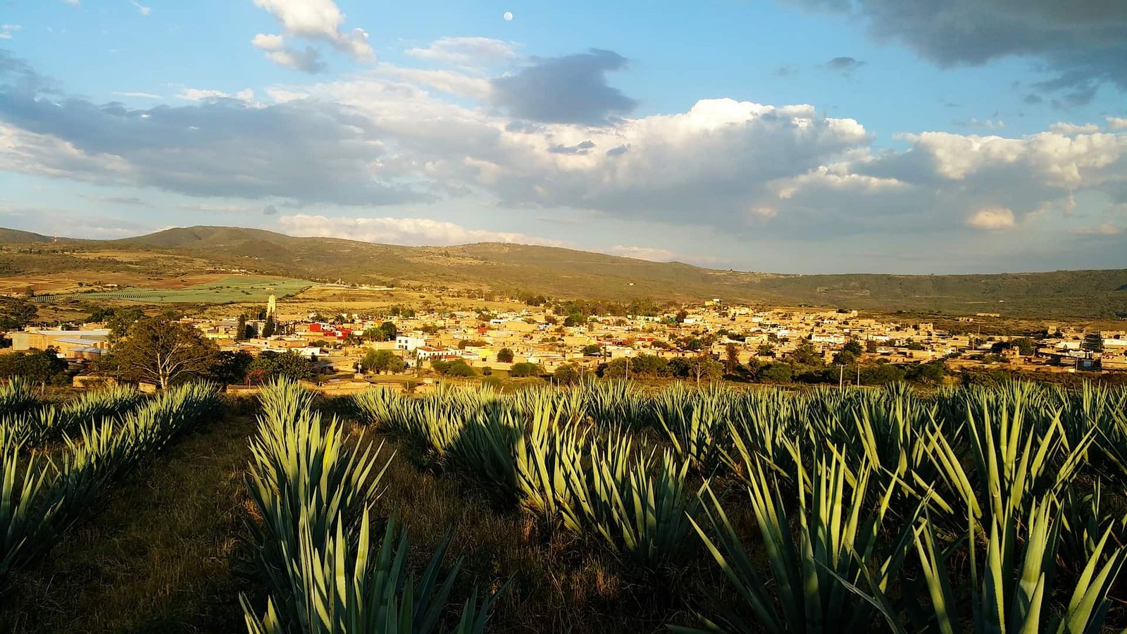 Que hacer en Tequila Jalisco: Guía Completa - Descúbrete Viajando