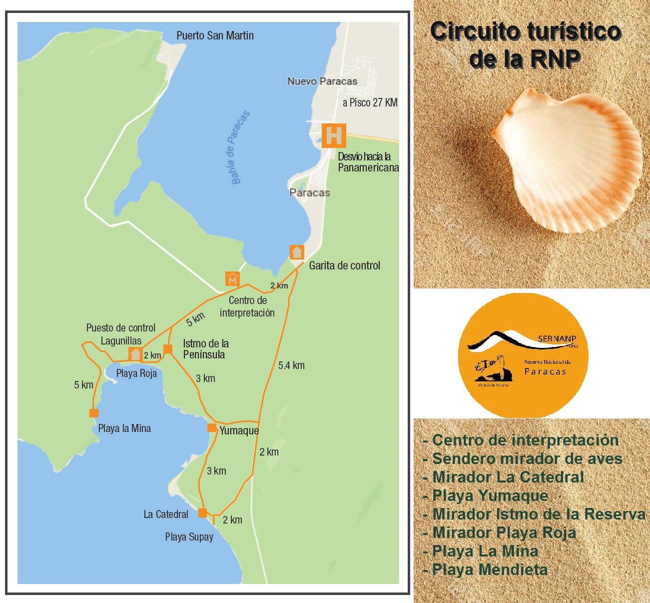 Reserva Nacional de Paracas Perú: Guía Completa de visita